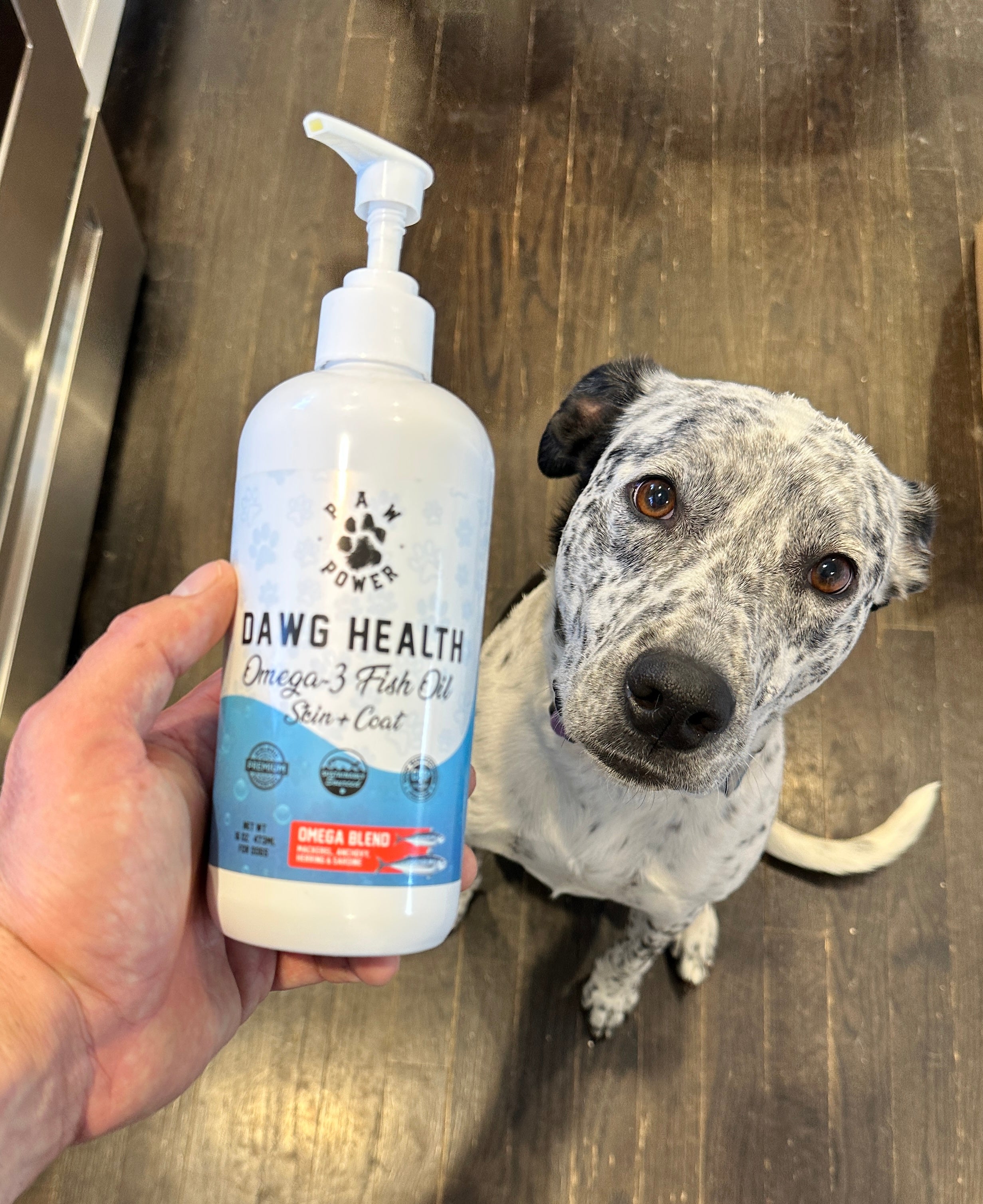 Dawg Health Skin & Coat